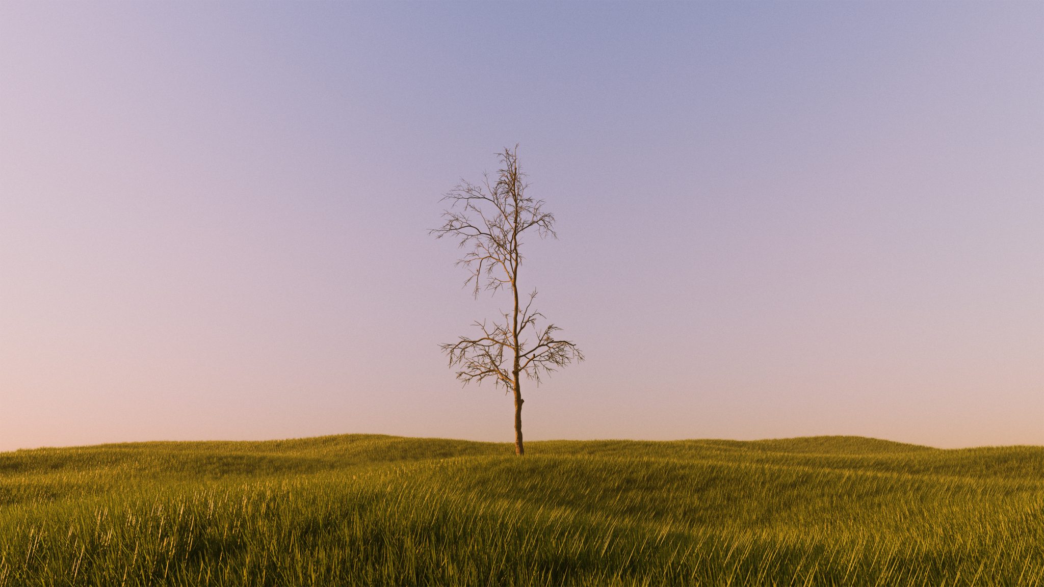 Fundación CIAPE – educación y tecnologías